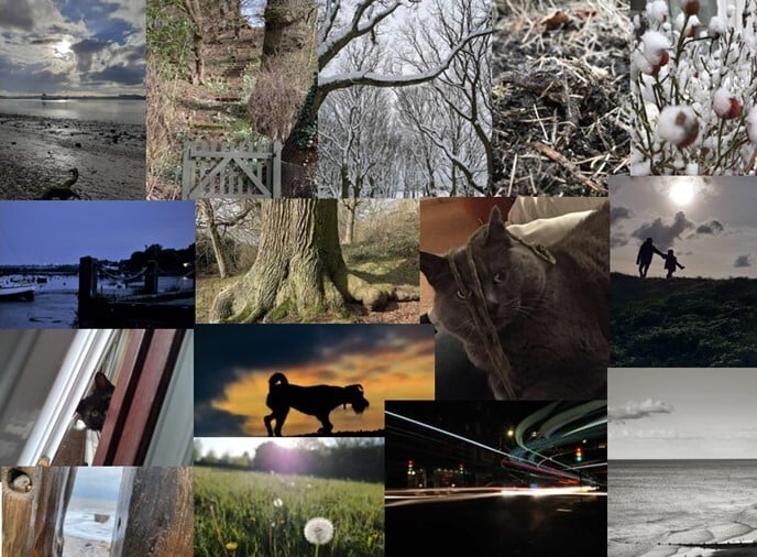 Tutor Group Photography Competition results - Woodbridge School