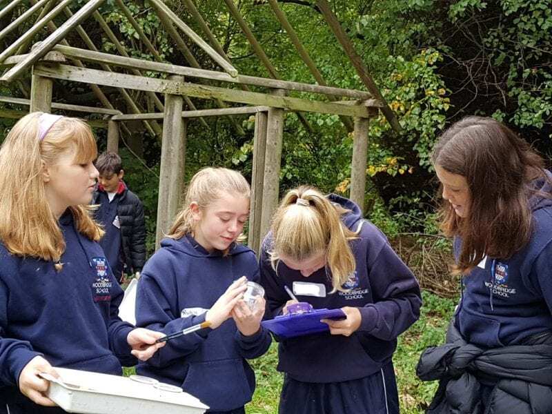 Year 8 Trip to Foxburrow Farm - October 2018 - Woodbridge School