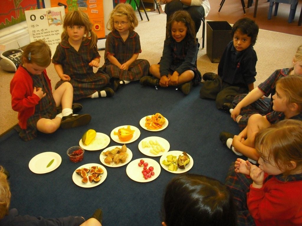 Reception Food Tasting - Woodbridge School