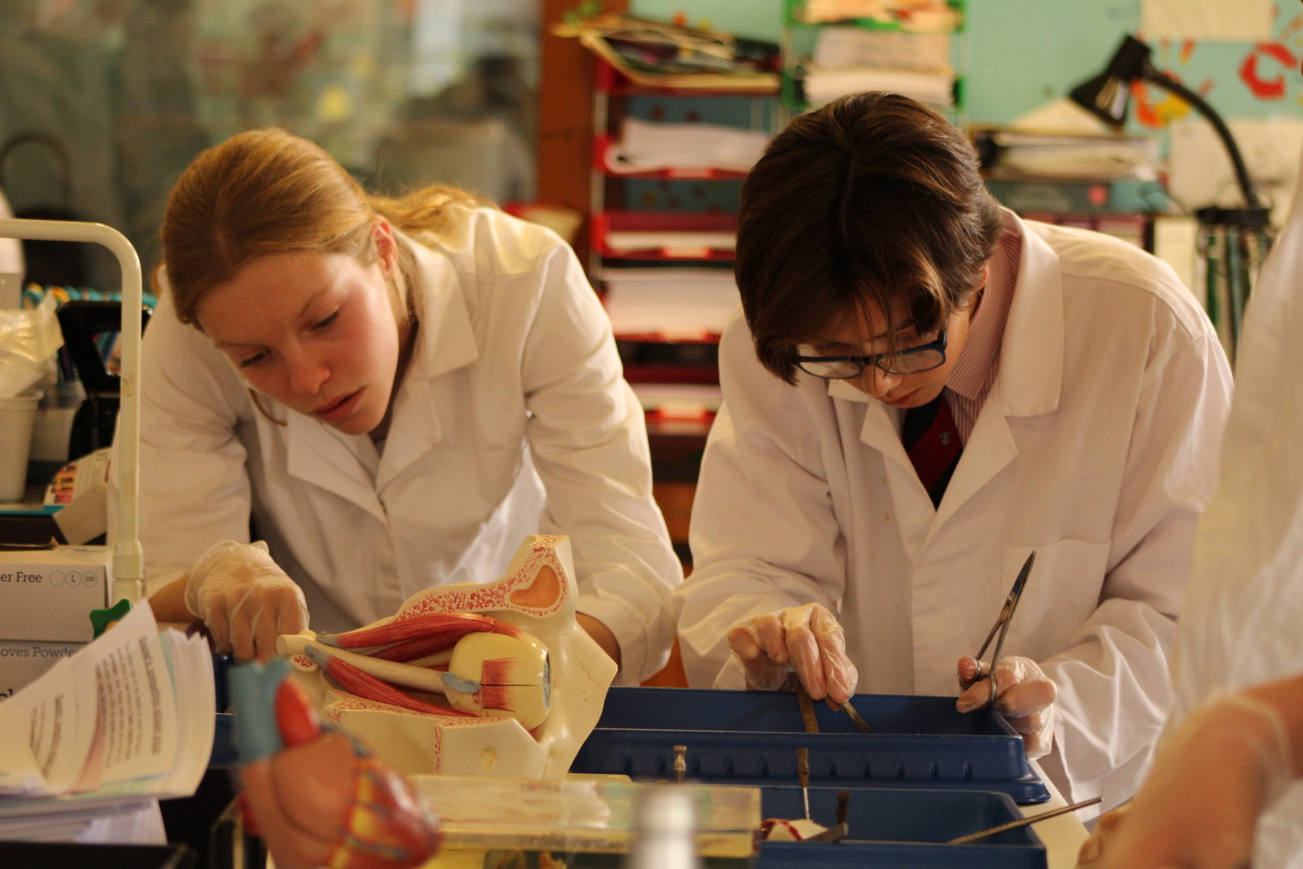 Science in Action for Year 11 Students - Woodbridge School