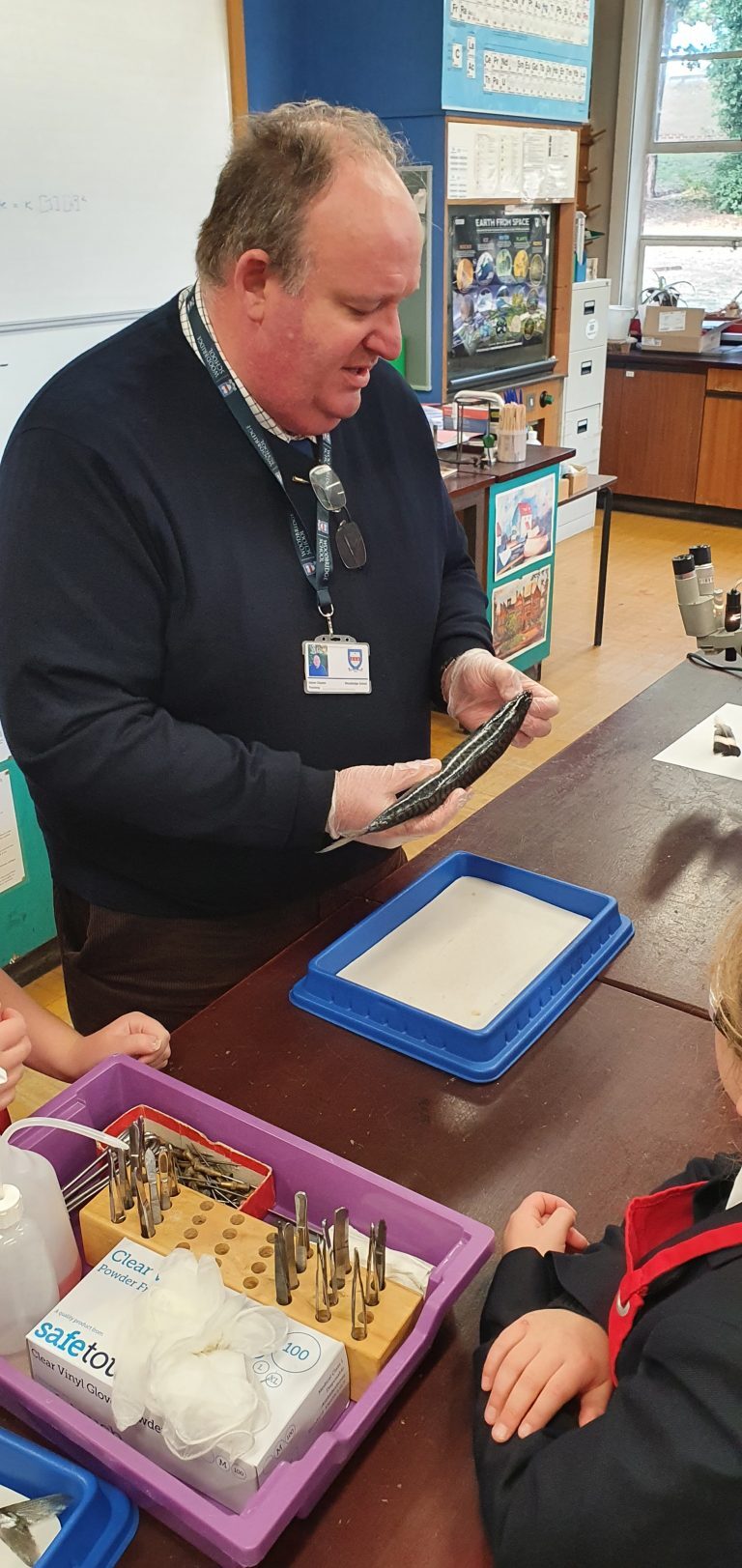 Mackerel Dissection - Woodbridge School