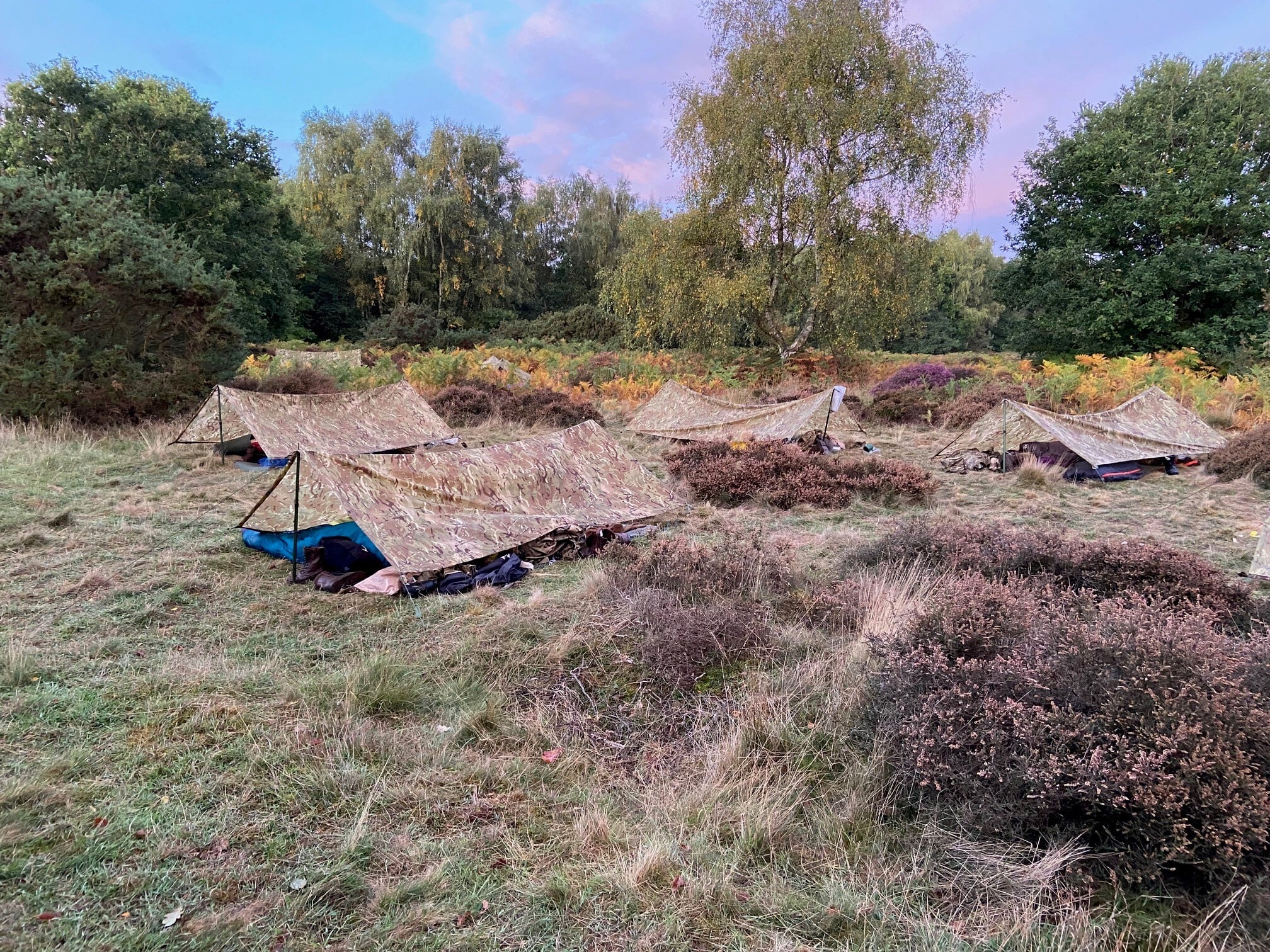 CCF Field Day for Army, Navy and RAF - Woodbridge School