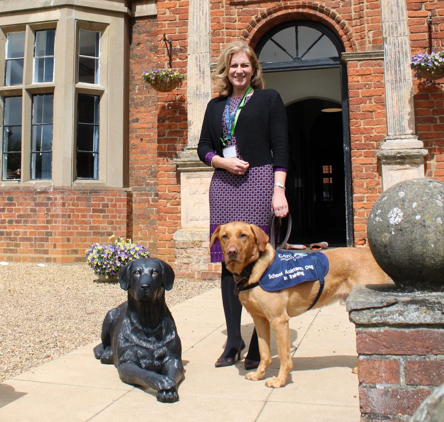 Positivity from PAWS-itivity at Woodbridge School - Woodbridge School
