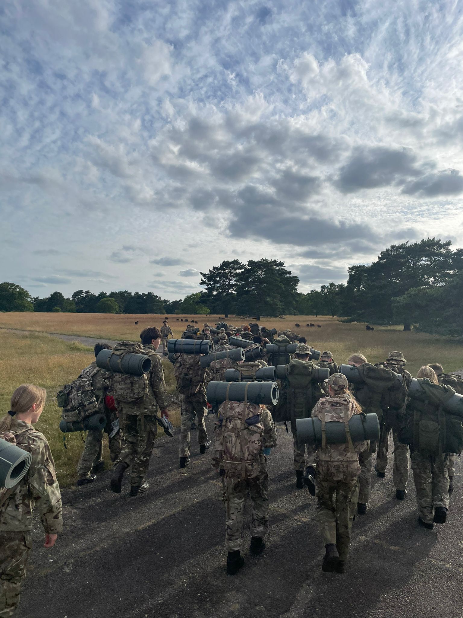 Field Day 2024 - Woodbridge School