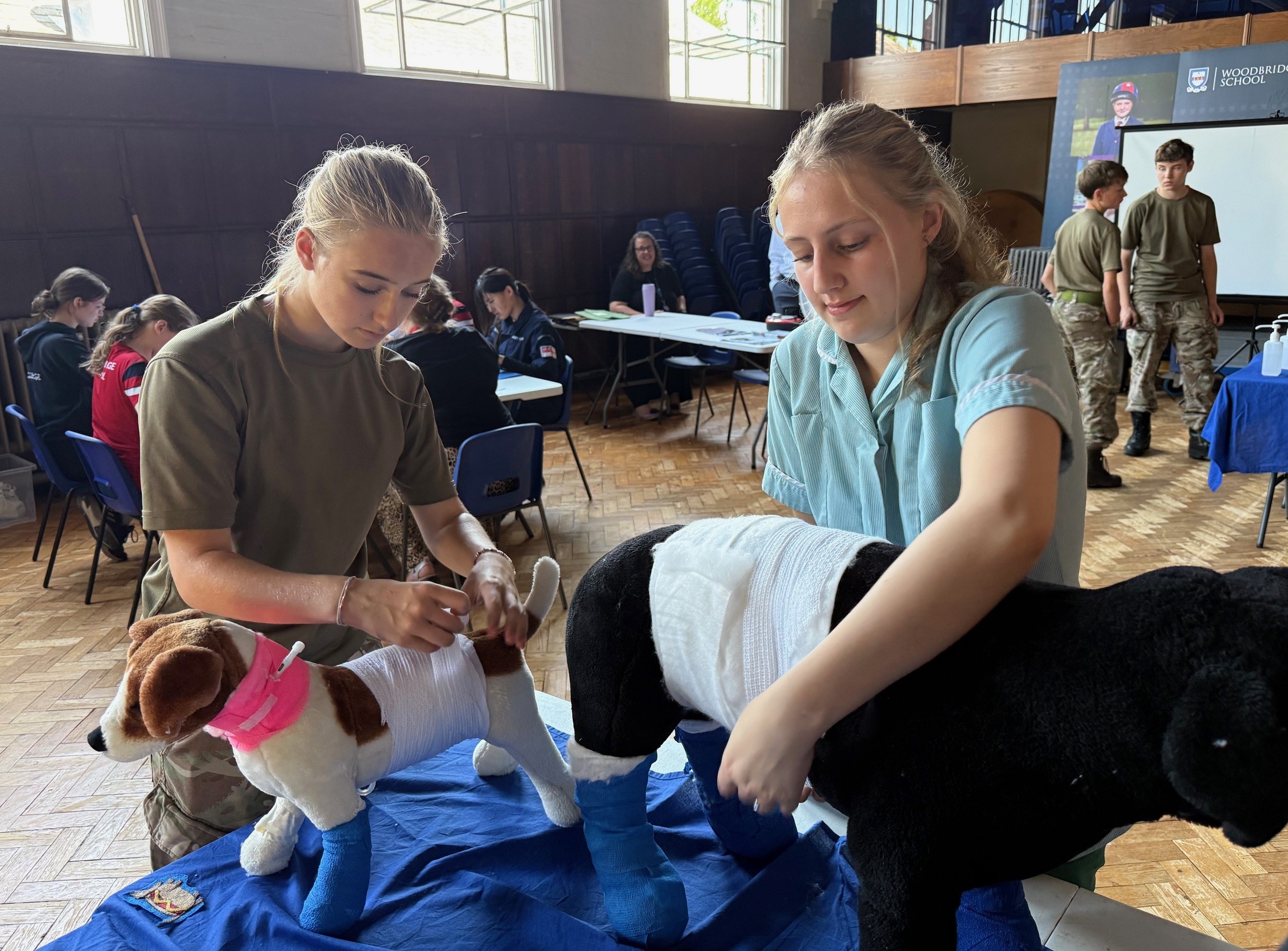 Veterinary Experience Workshop - Woodbridge School